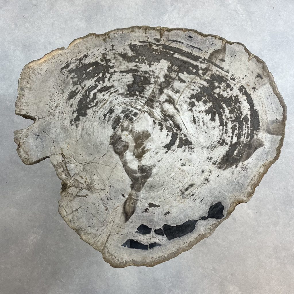 Salontafel versteend hout | Uniek & Exclusief | Munker Interiors